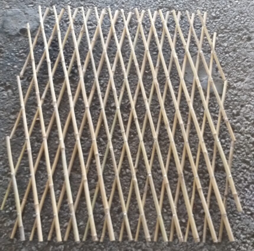 TRELLY BAMBOO - 1 MTR HEIGHT, 2.25 MTR LENGTH - DAFFODILS PLANTS
